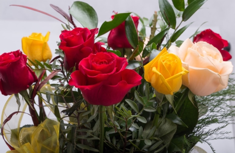 June Birth Flower - Rose and Honeysuckle - Farmers' Almanac