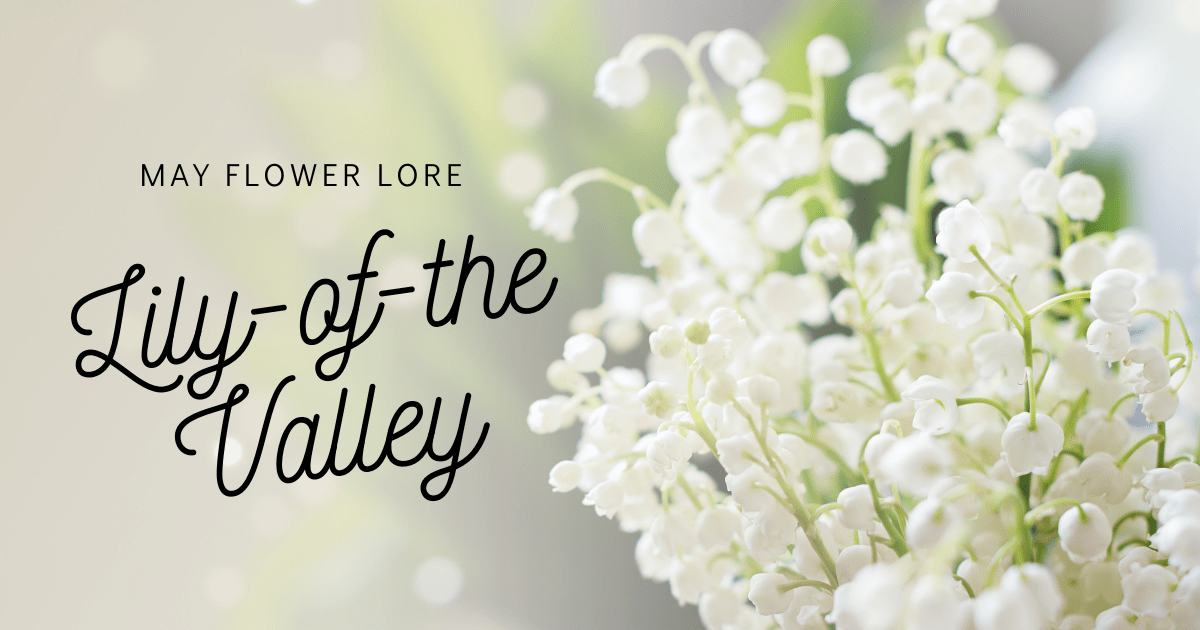 May Flower Lore: Lily of the Valley and Hawthorn - Farmers' Almanac - Plan Your Day. Grow Your Life.
