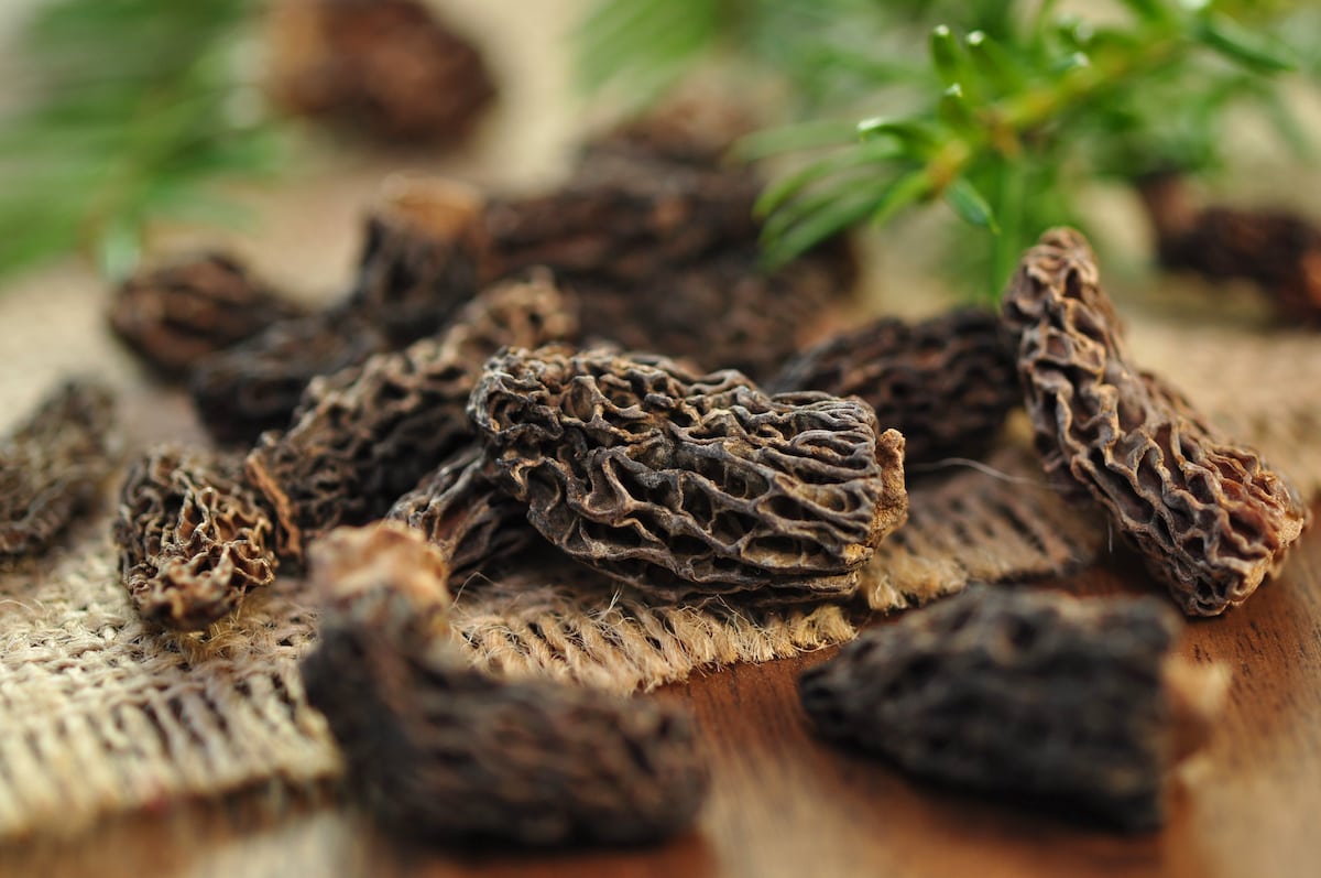Spring Means Morels, But What Are They? - Farmers' Almanac - Plan Your ...