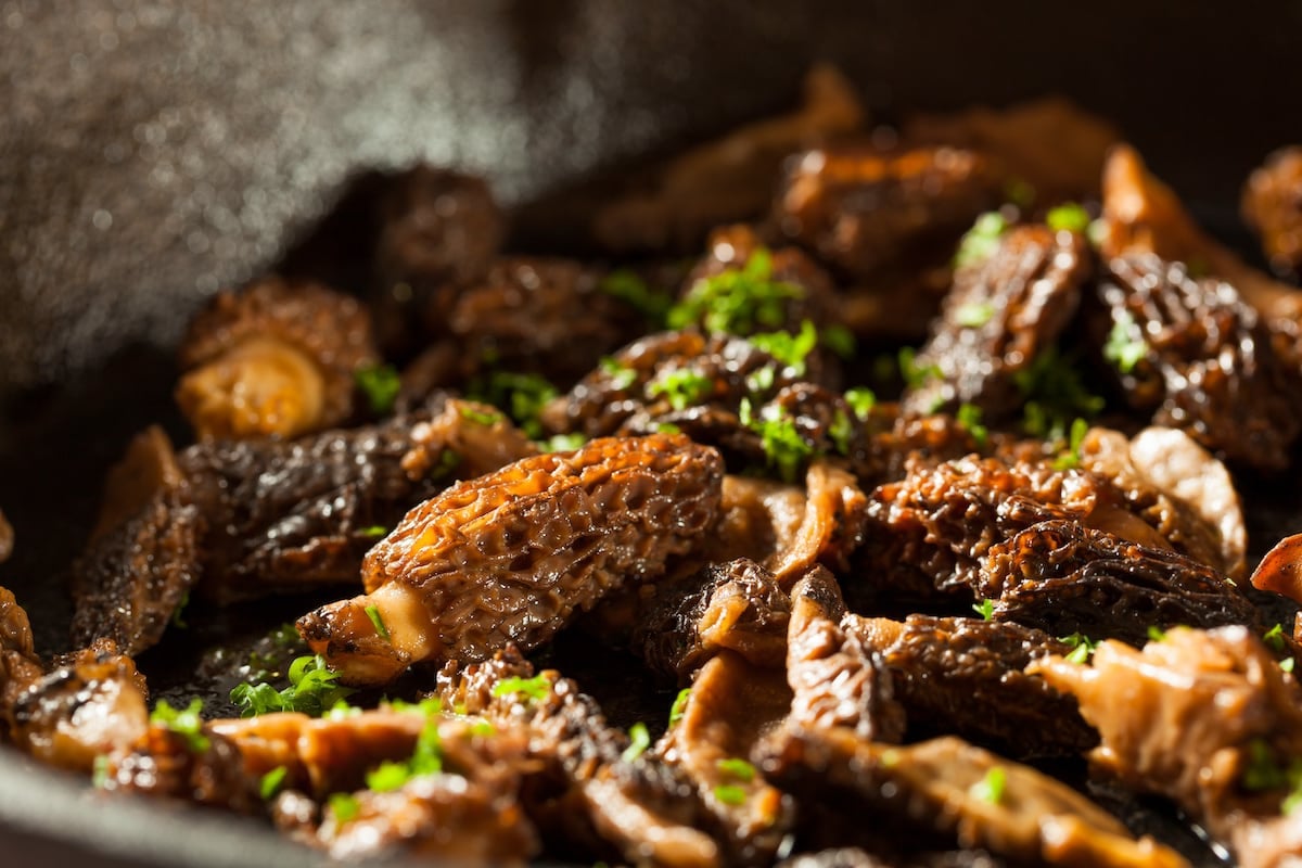 Spring Means Morels, But What Are They? - Farmers' Almanac - Plan Your ...