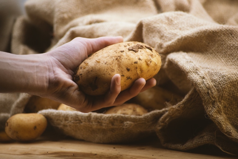 The Strange History of Potatoes And The Man Who Made Them Popular ...