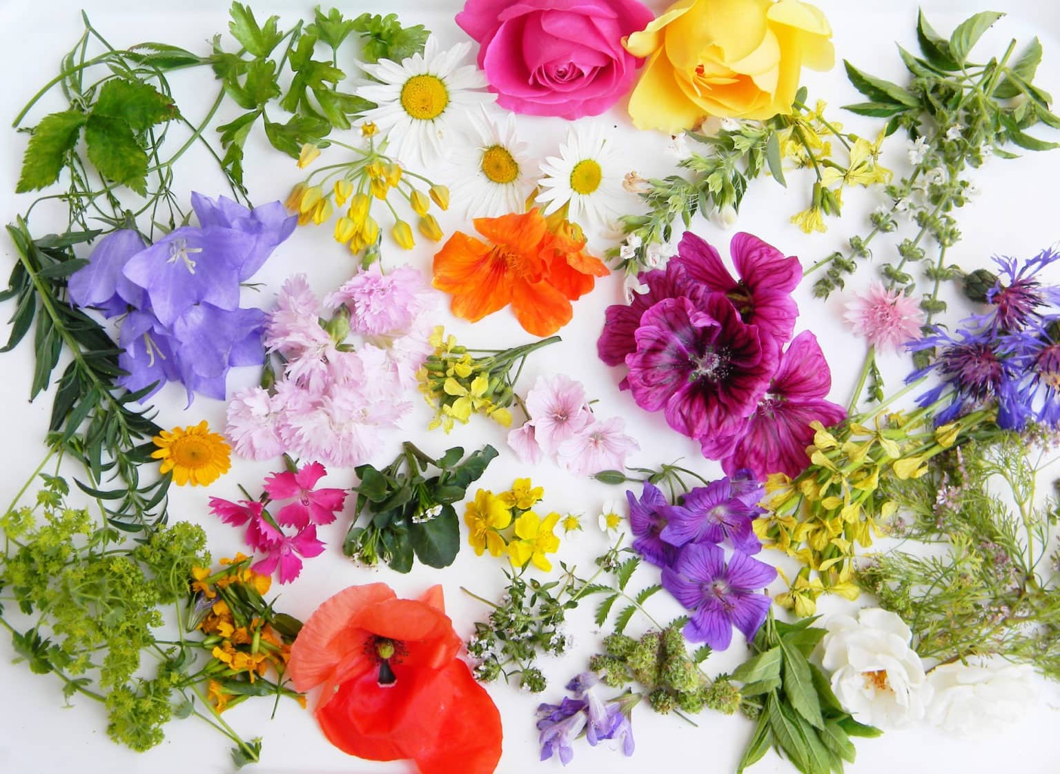10 Edible Flowers To Grow This Spring - Farmers' Almanac - Plan Your ...