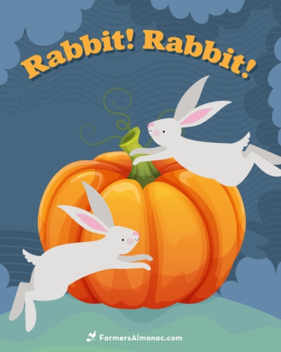 "Rabbit Rabbit" On The First Of The Month! - Farmers' Almanac