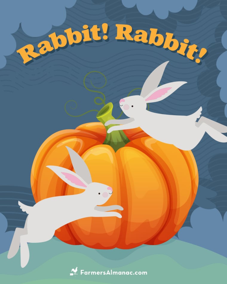 "Rabbit Rabbit" On The First Of The Month! - Farmers' Almanac