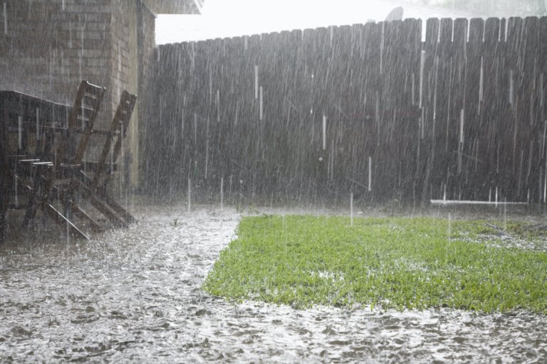 Collecting Rainwater For The Garden: A Step-by-Step Guide - Farmers ...