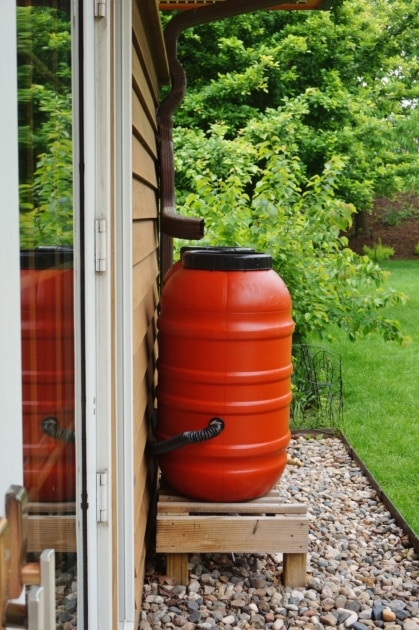 Collecting Rainwater For The Garden: A Step-by-Step Guide - Farmers ...