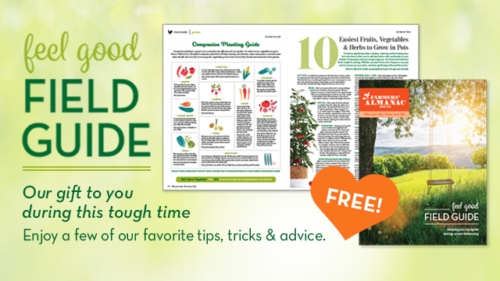 FREE Download! Feel Good Field Guide! - Farmers' Almanac - Plan Your ...