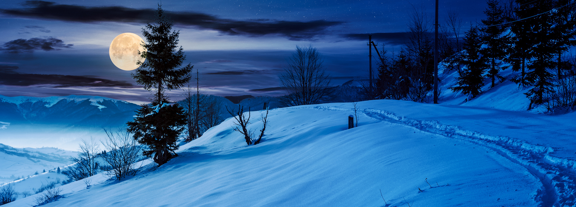 Sun Follows Moon Until She Tires - Porche Proich