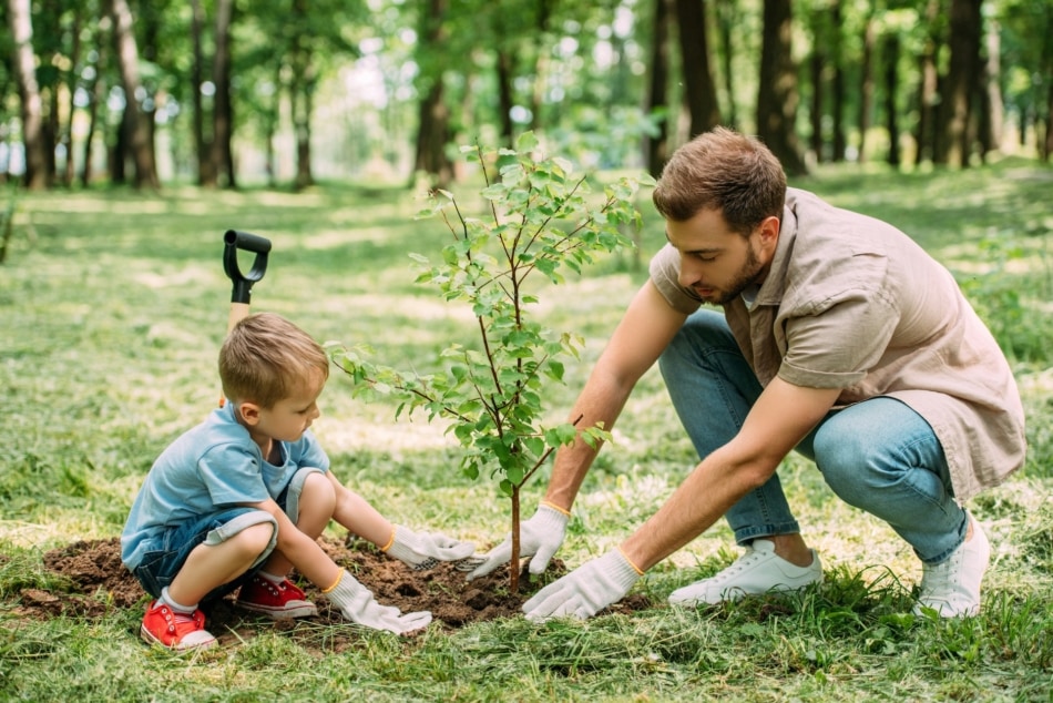 Arbor Day 2022 Nz Ella Fernandez Rumor Arbor Day 2022 Nz Ella Fernandez Rumor