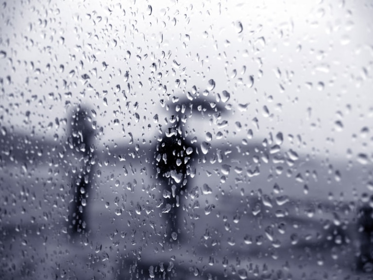 Importance of raindrop shape - dpfrosd