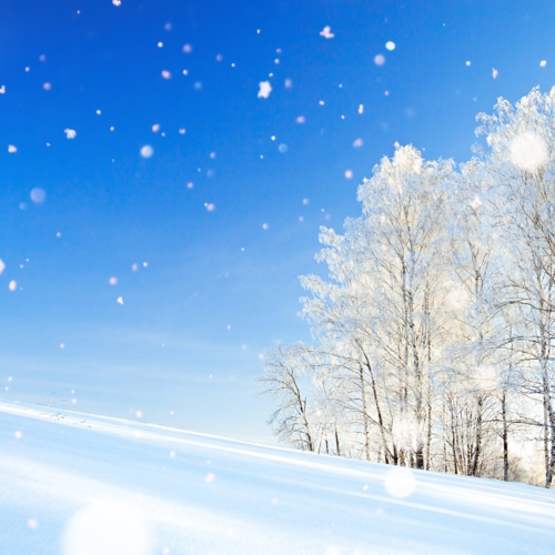 Diamond Dust: Snow From The Clear Blue Sky? - Farmers' Almanac - Plan ...