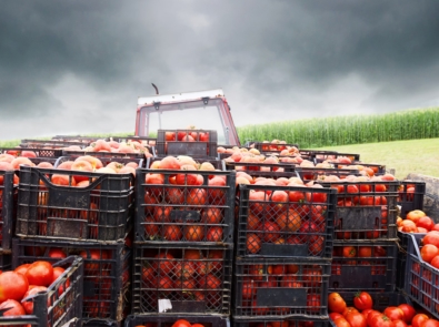 Summer Gardening Articles - Page 12 of 18 - Farmers' Almanac - Plan ...