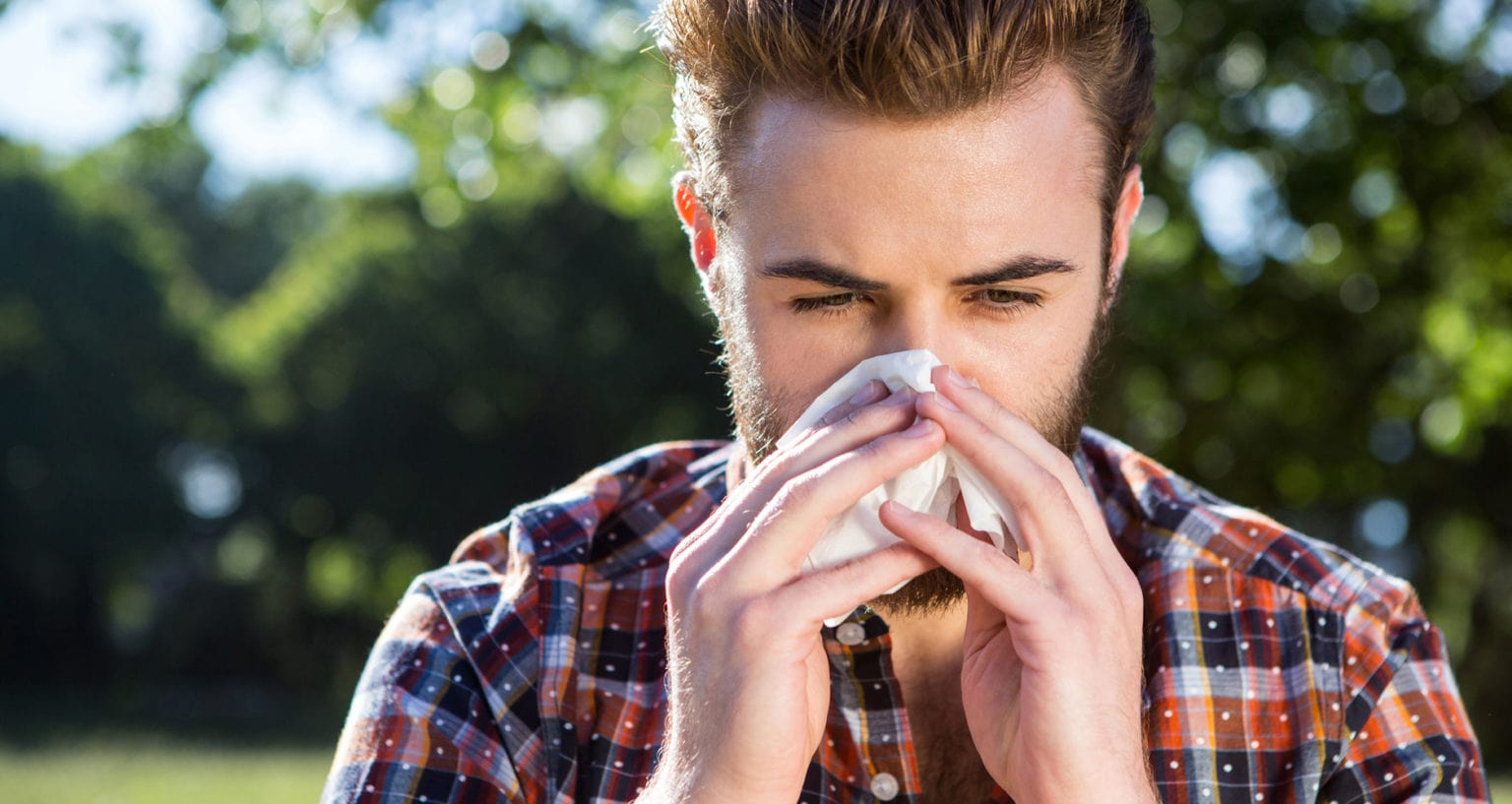 Sneezing In Winter? It Might Be Cedar Fever - Farmers' Almanac - Plan ...