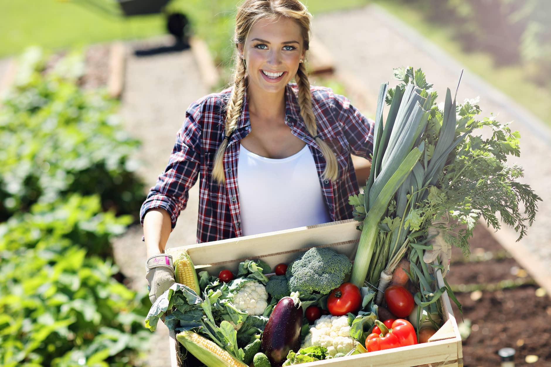 Olla Irrigation: Keep Your Thirsty Garden Watered! - Farmers' Almanac ...