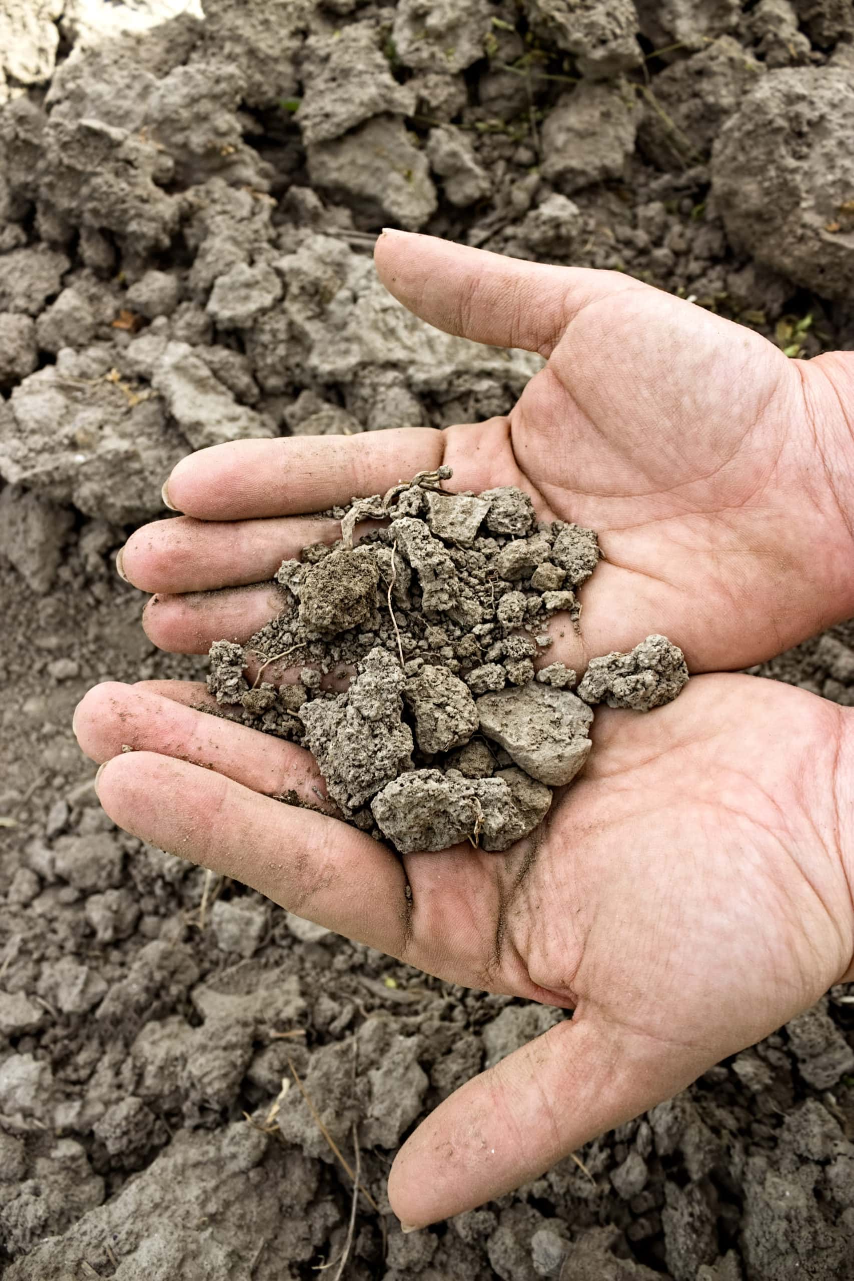 Why Does Rain Smell So Good? - Farmers' Almanac - Plan Your Day. Grow ...