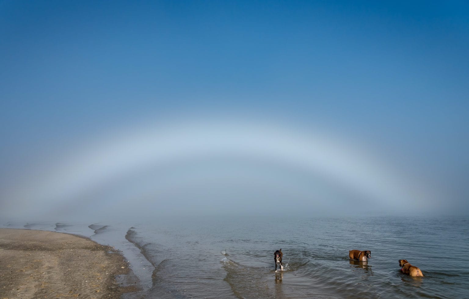 7 Types of Rainbows That Remind You Nature is Awesome - Farmers ...