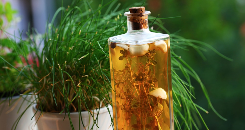 Legendary 4 Thieves Vinegar Tonic Recipe - Farmers' Almanac