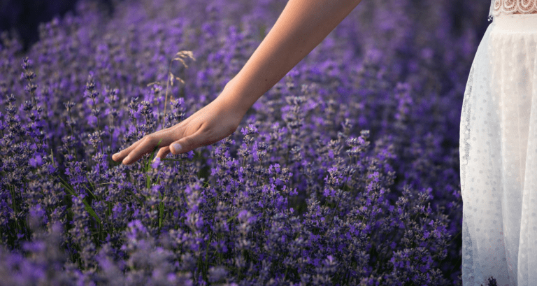 12 Natural Insect Repellents - Farmers' Almanac - Plan Your Day. Grow ...