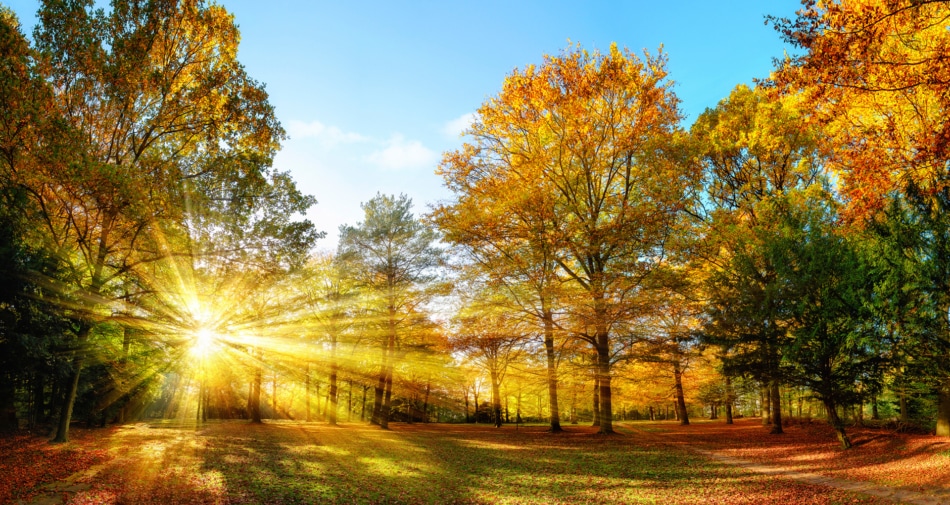 What Is Meteorological Fall? - Farmers' Almanac - Plan Your Day. Grow ...