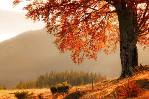 What is "Indian Summer" or "Second Summer"? - Farmers' Almanac - Plan ...