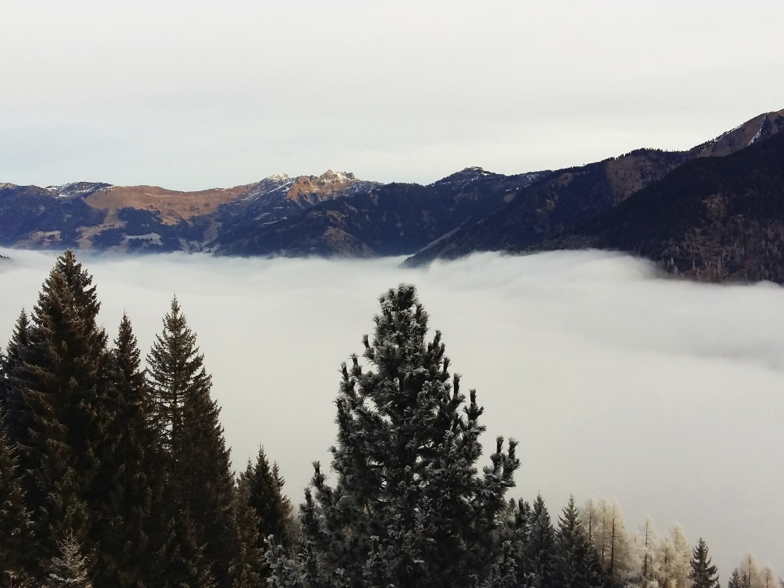 What Is Winter Inversion? Causes, Effects, and Health Risks