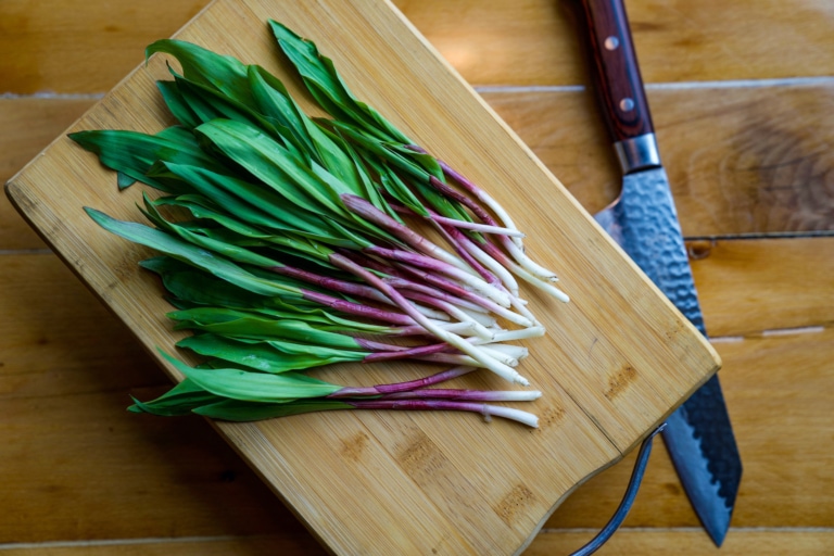 What's So Special About Ramps? - Farmers' Almanac - Plan Your Day. Grow ...