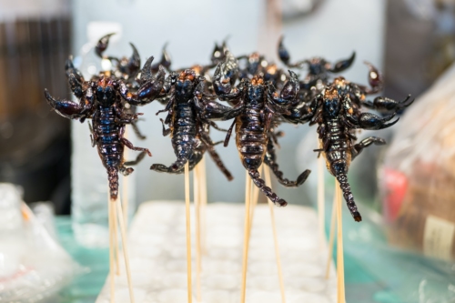 10 Best Edible Insects We Dare You To Try - Farmers' Almanac - Plan ...