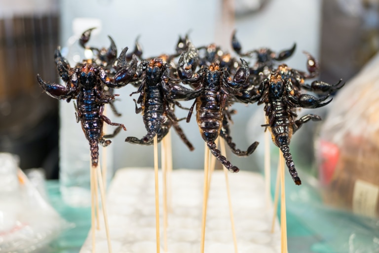 10 Best Edible Insects We Dare You To Try - Farmers' Almanac - Plan ...