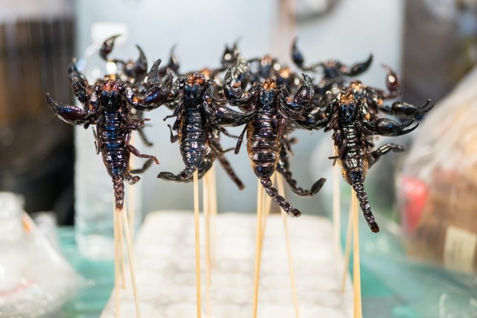 10 Best Edible Insects We Dare You To Try - Farmers' Almanac - Plan ...