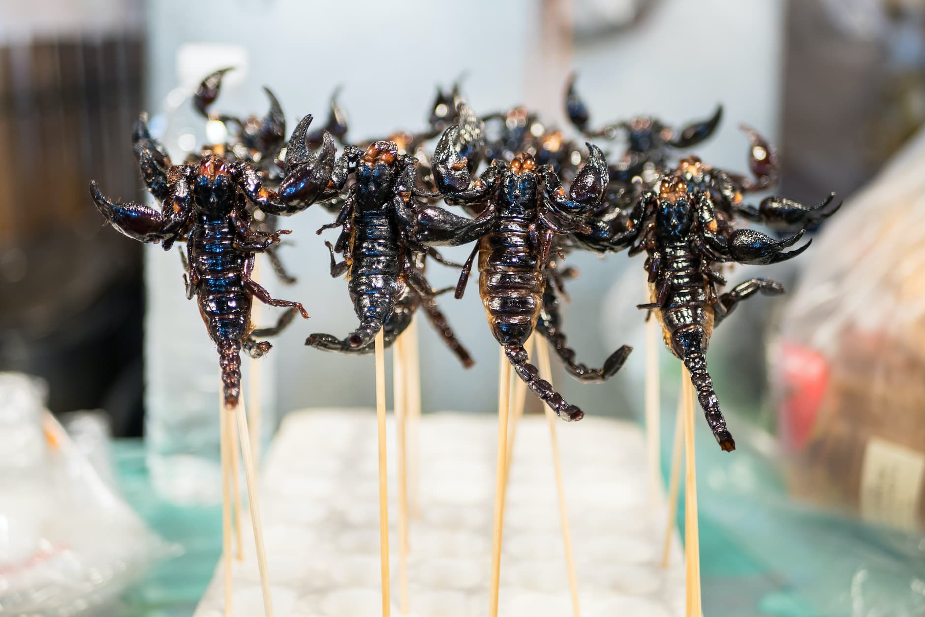 10 Best Edible Insects We Dare You To Try - Farmers' Almanac - Plan ...