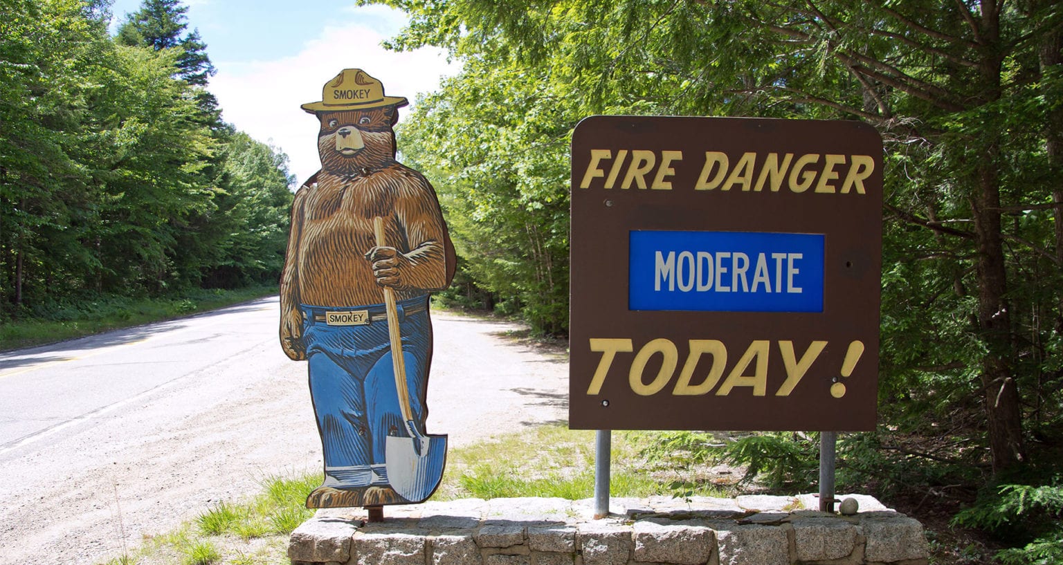 How did Smokey Bear Become the Wildfire Prevention Mascot? - Farmers ...