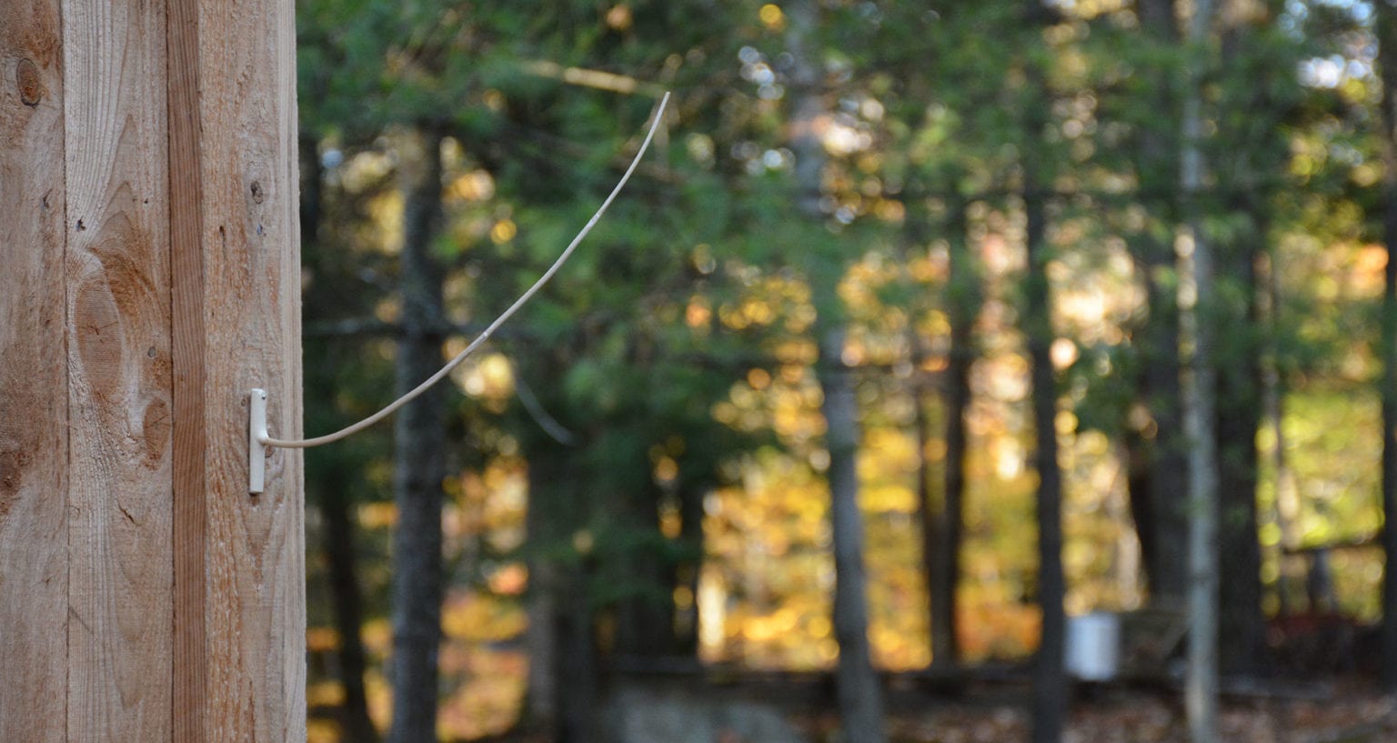 How Can A Stick Predict Good Weather? - Farmers' Almanac