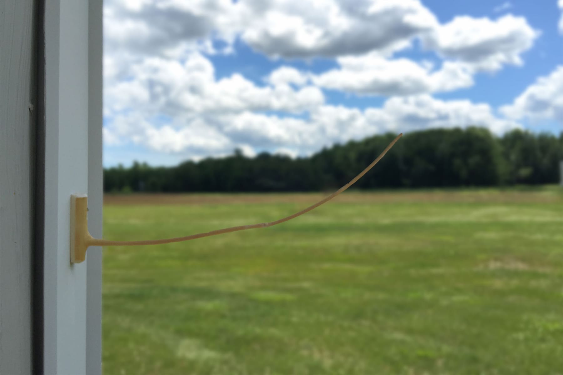 How Can A Stick Predict Good Weather? - Farmers' Almanac