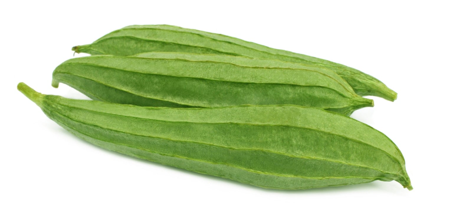 How To Grow Luffa To Make Your Own Sponge - Farmers' Almanac - Plan ...