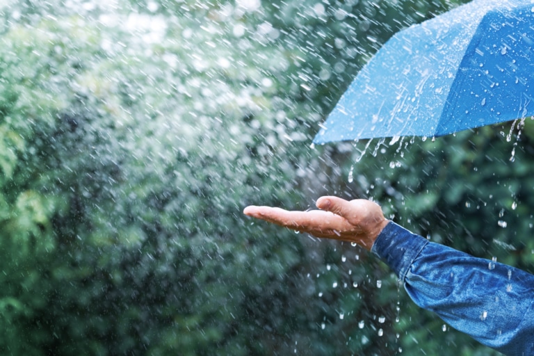 Why Does Rain Smell So Good? - Farmers' Almanac
