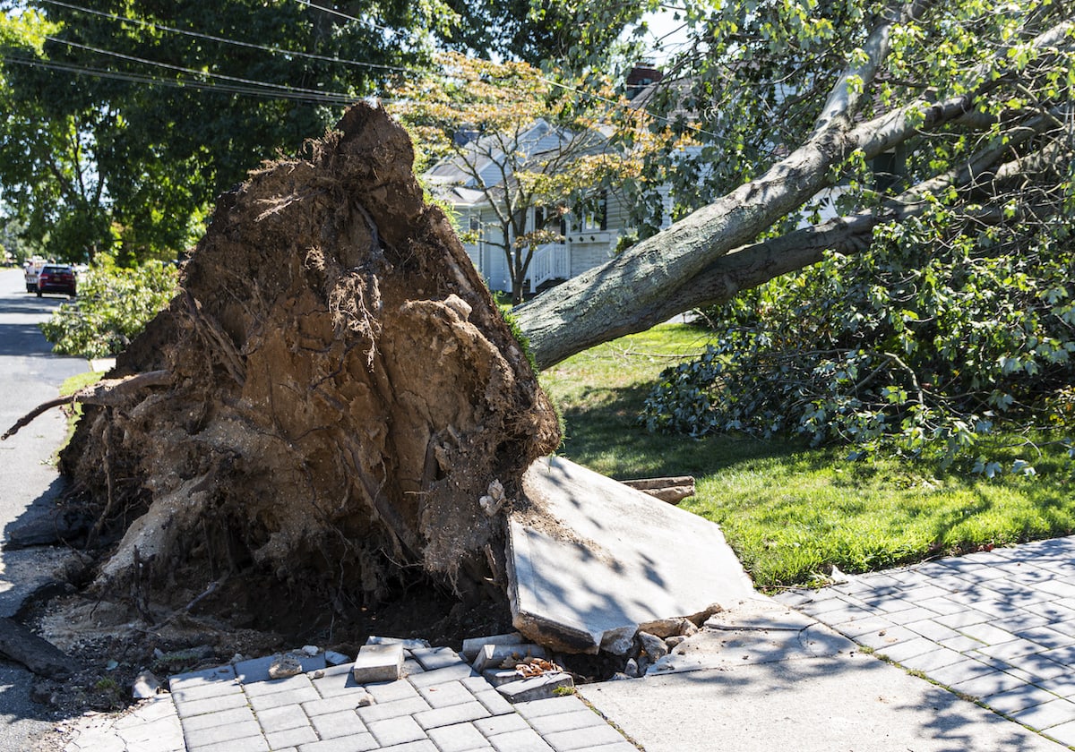 What Is a Microburst? Farmers' Almanac Weather