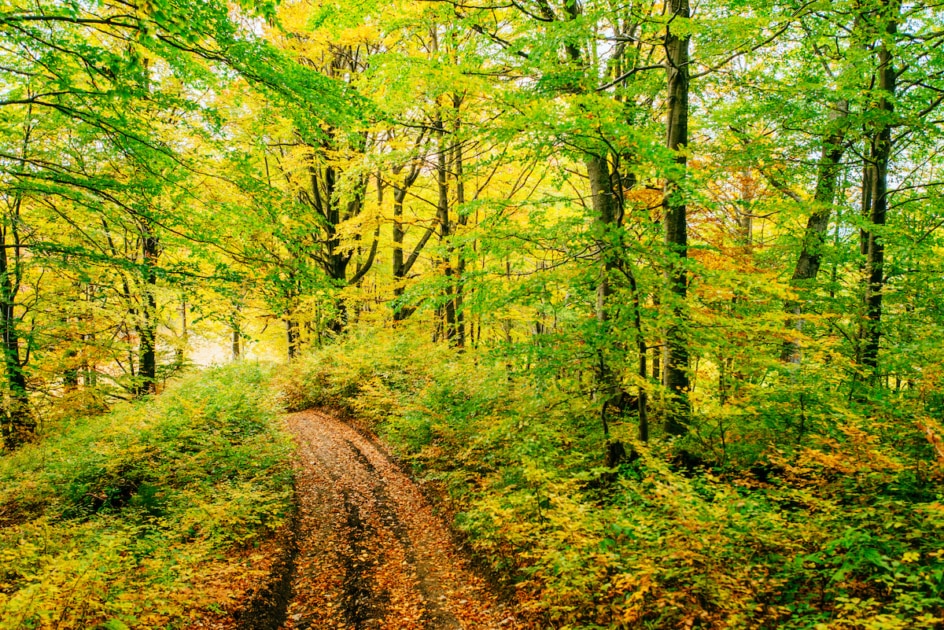 September Weather Lore Sayings You May Not Have Heard - Farmers ...