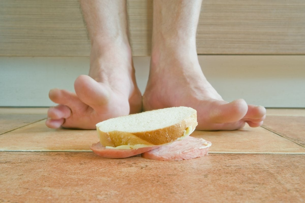 Murphy's Law: Is It Real? - Farmers' Almanac - Plan Your Day. Grow Your ...