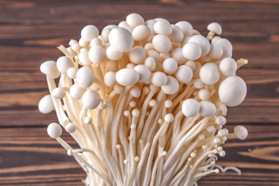 10 Popular Edible Mushrooms (And How To Cook With Them) - Farmers ...