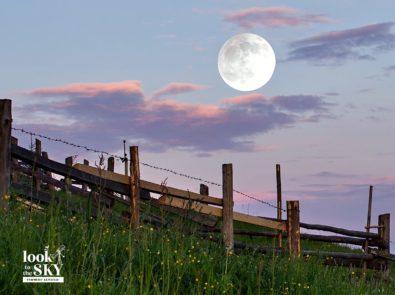 Astronomy Articles - Farmers' Almanac - Plan Your Day. Grow Your Life.