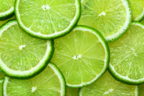 How to Avoid A Skin Rash In The Garden