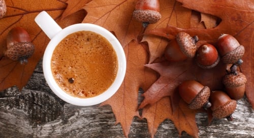 Can You Eat Acorns? Here's The Best Method - Farmers' Almanac