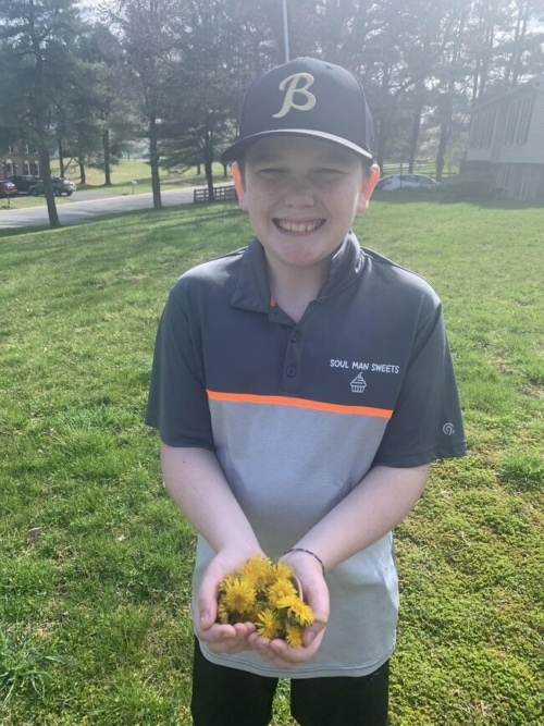 New! Dandelion Shortbread Cookie Recipe - Farmers' Almanac