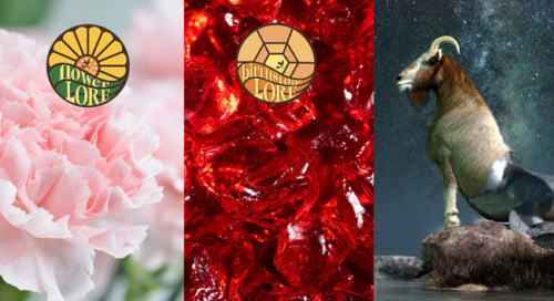 January Birth Month Symbols And Fun Facts - Farmers' Almanac - Plan ...