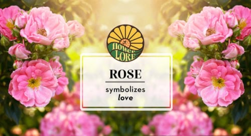 June Birth Month Symbols And Fun Facts - Farmers' Almanac - Plan Your ...