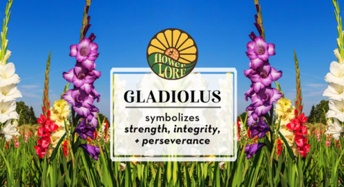 August Birth Month Symbols And Fun Facts - Farmers' Almanac - Plan Your ...