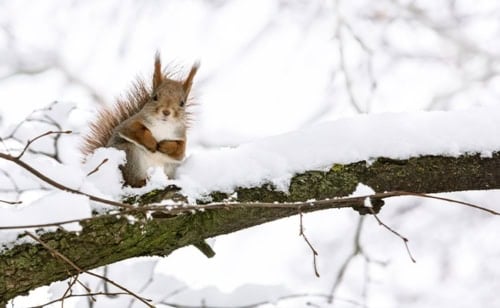 Review Of Winter Weather 2023-2024 - Farmers' Almanac - Plan Your Day ...