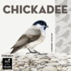 Birth Month Birds - Find Yours! - Farmers' Almanac