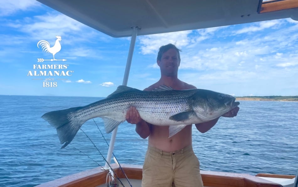 Best Fishing Days & Times | Fishing Calendar 2026