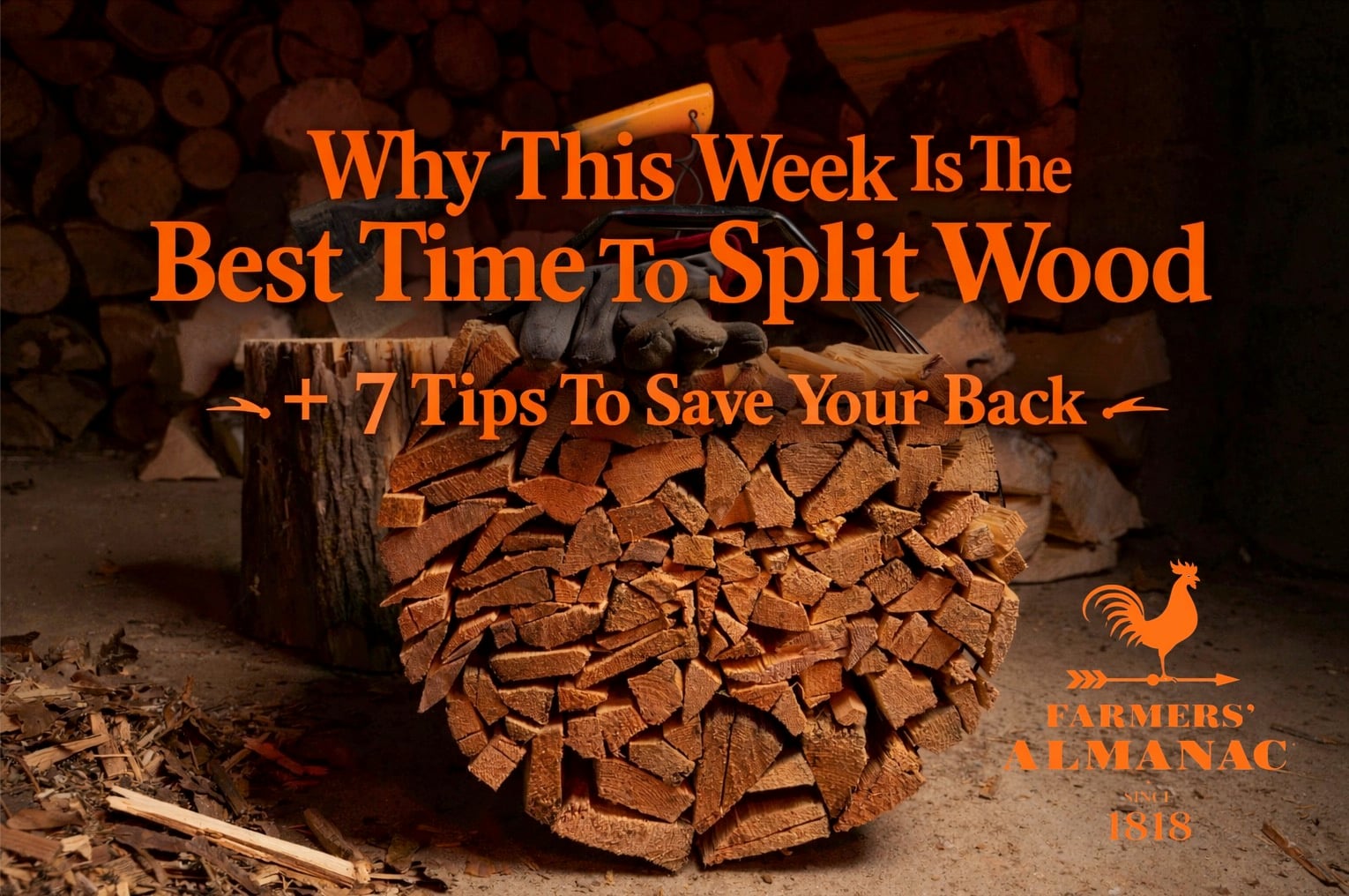 Why This Week Is The Best Time To Split Wood + 7 Tips To Save Your Back ...